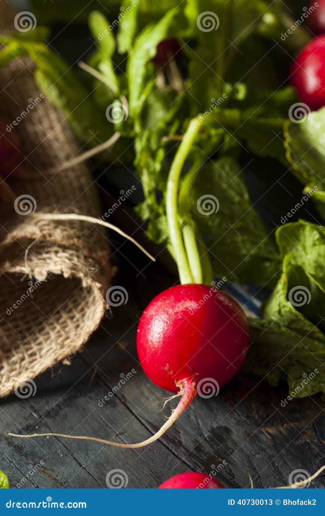 Organic Raw Red Radishes stock image. Image of root, harvest - 40730013