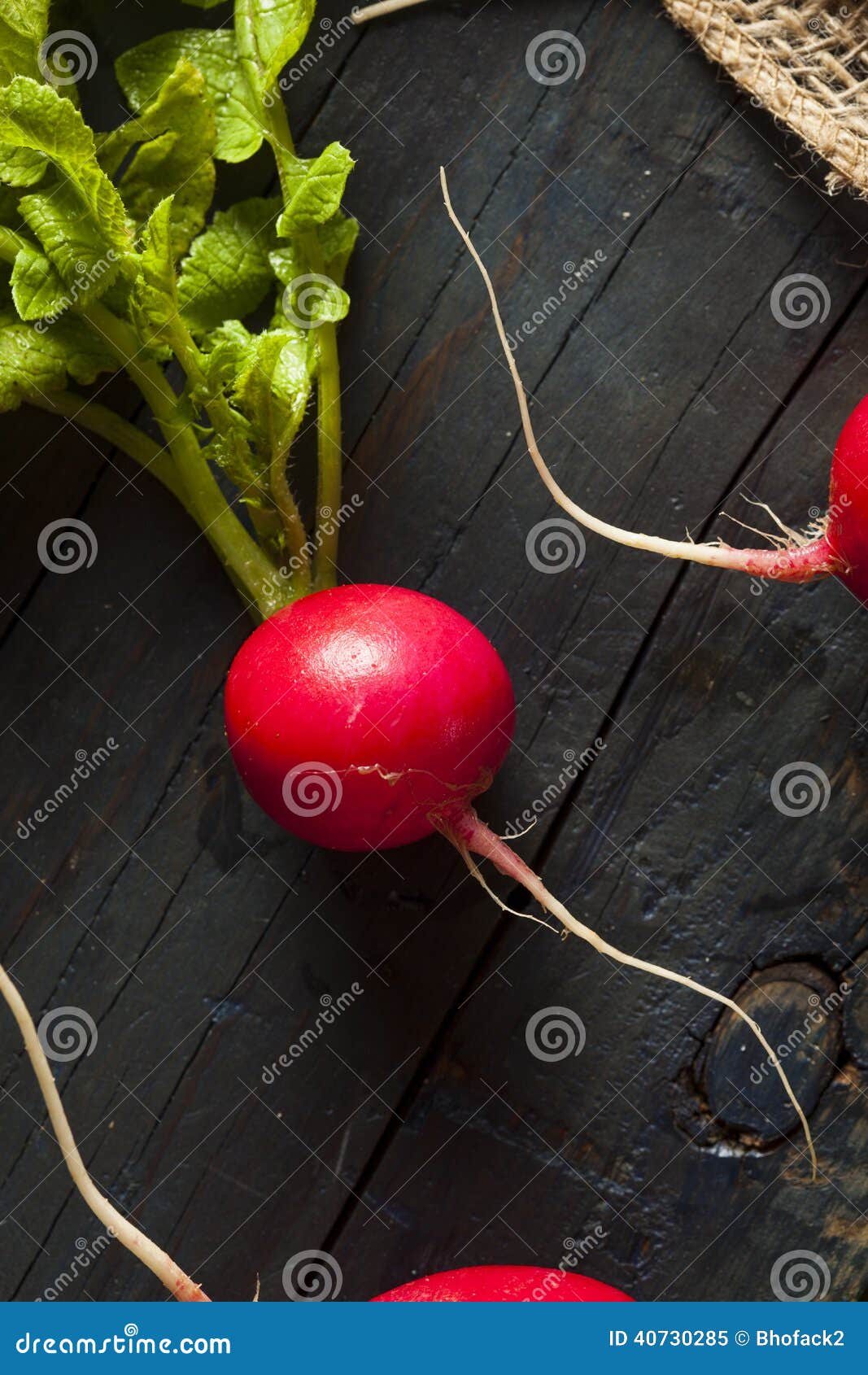 Organic Raw Red Radishes stock image. Image of pile, freshness - 40730285