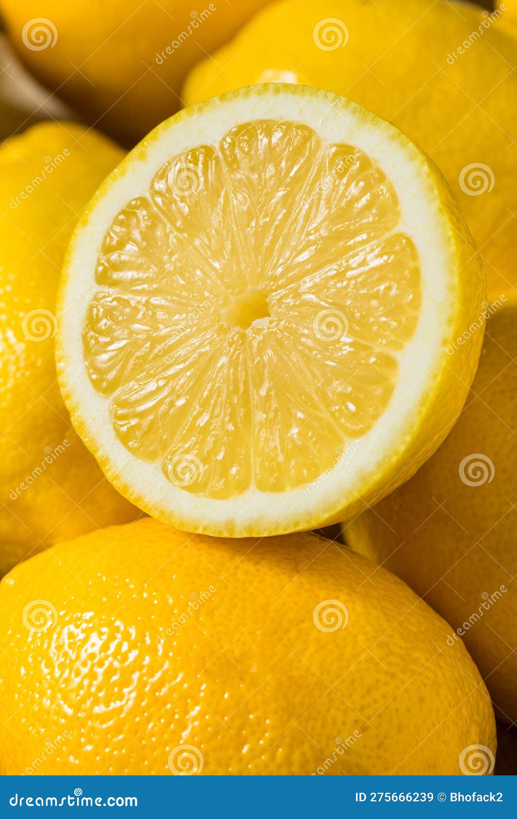 Organic Raw Seedless Yellow Lemons Stock Image - Image of slice, fruit ...