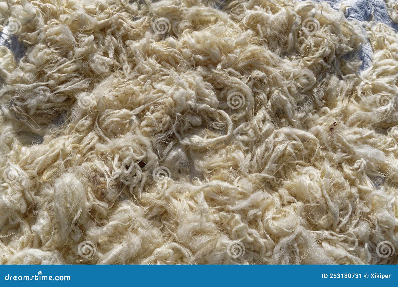 Organic Real Wool Preparing for Using Textile Stock Image - Image of ...
