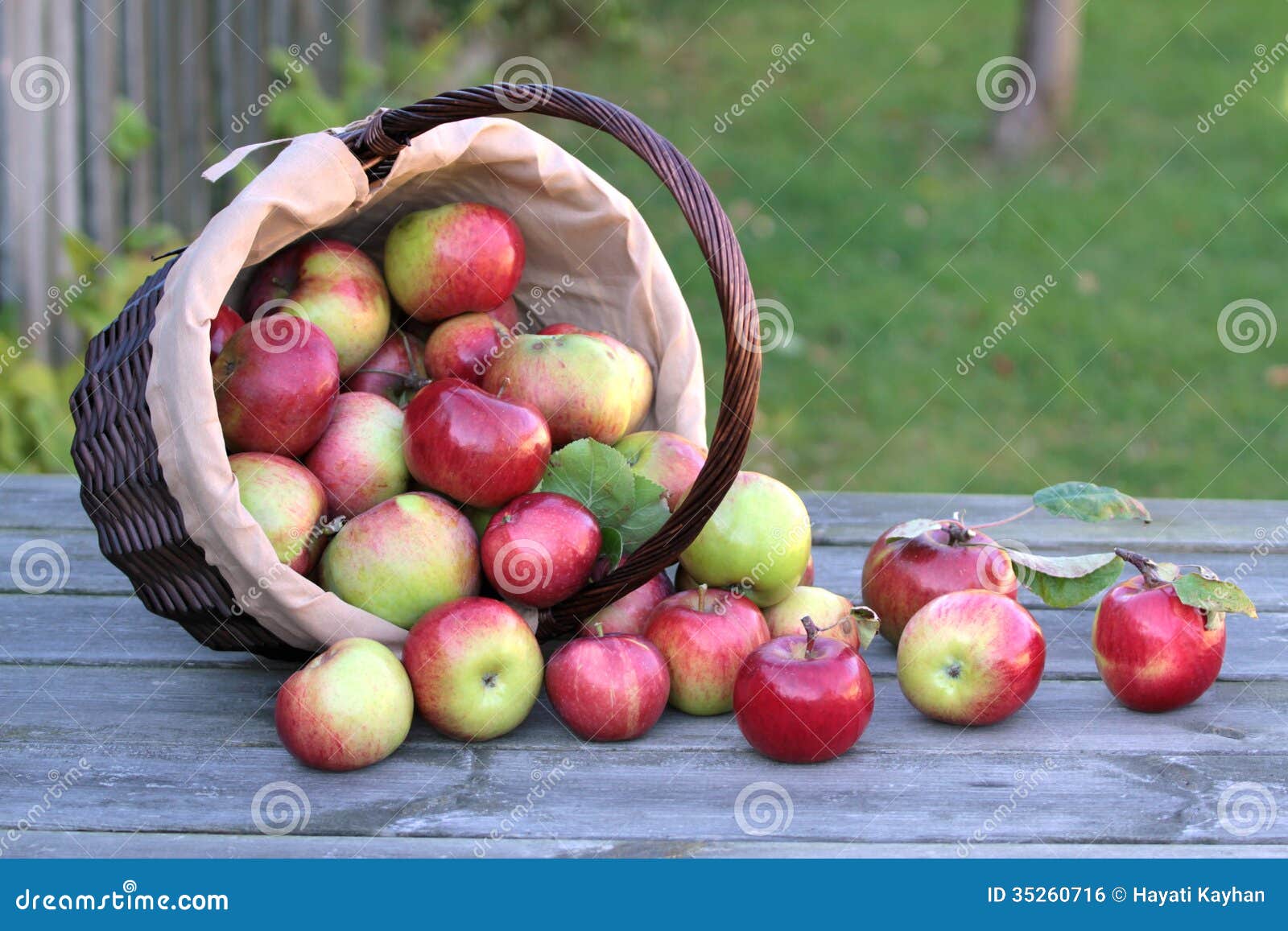 Organic Red Apples in a Basket Stock Photo - Image of eating, picking ...