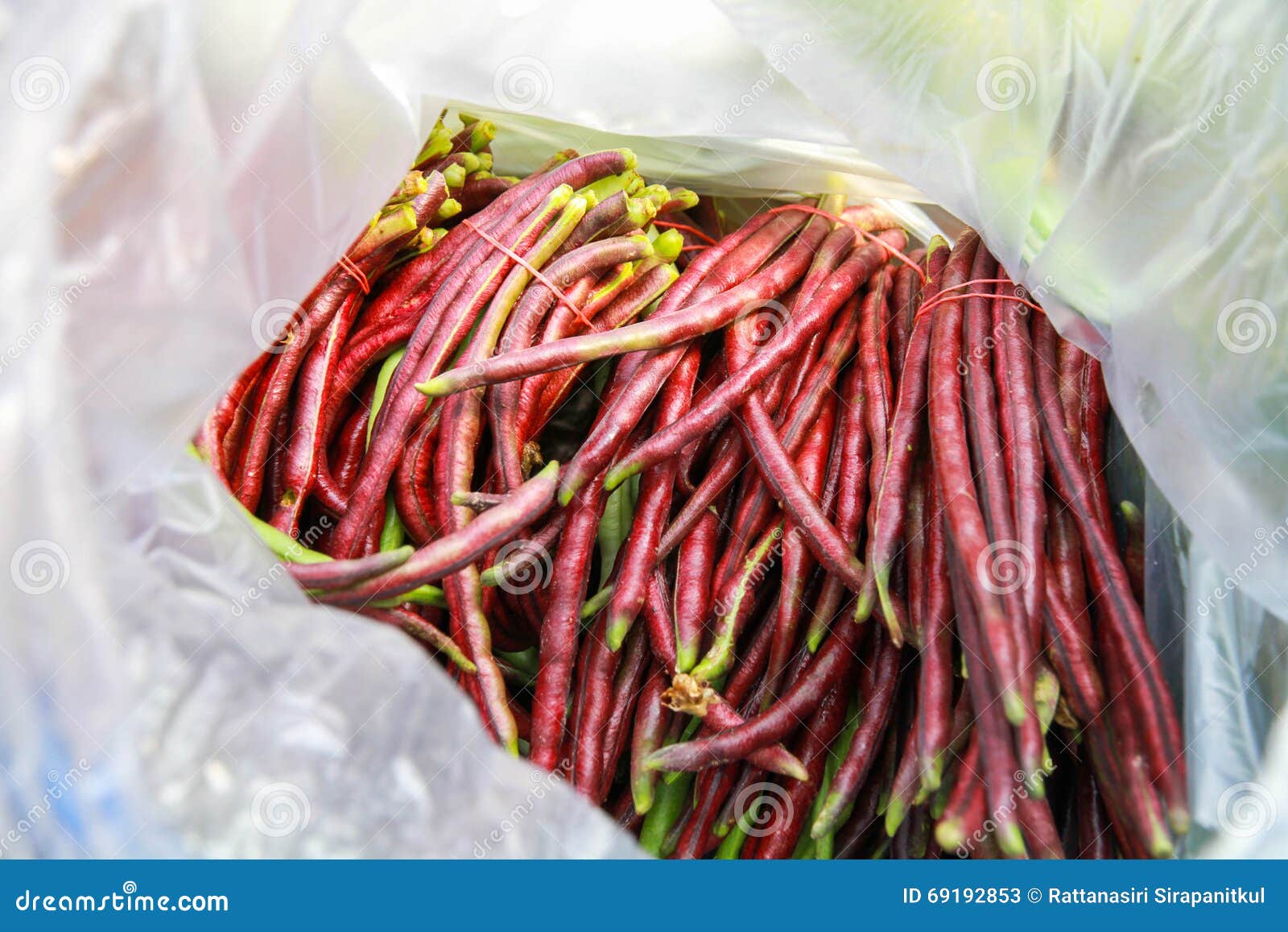 Organic red cowpea beans stock image. Image of nutrition - 69192853