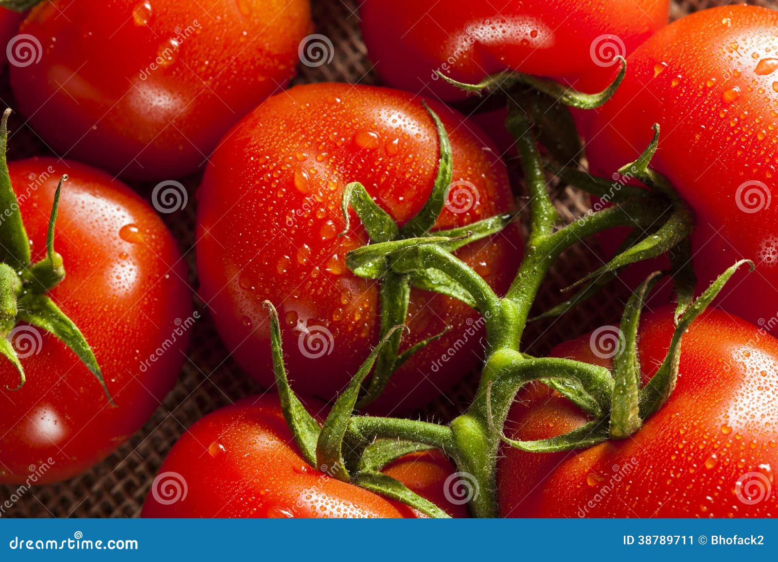 Organic Red Ripe Tomatoes stock image. Image of freshness - 38789711