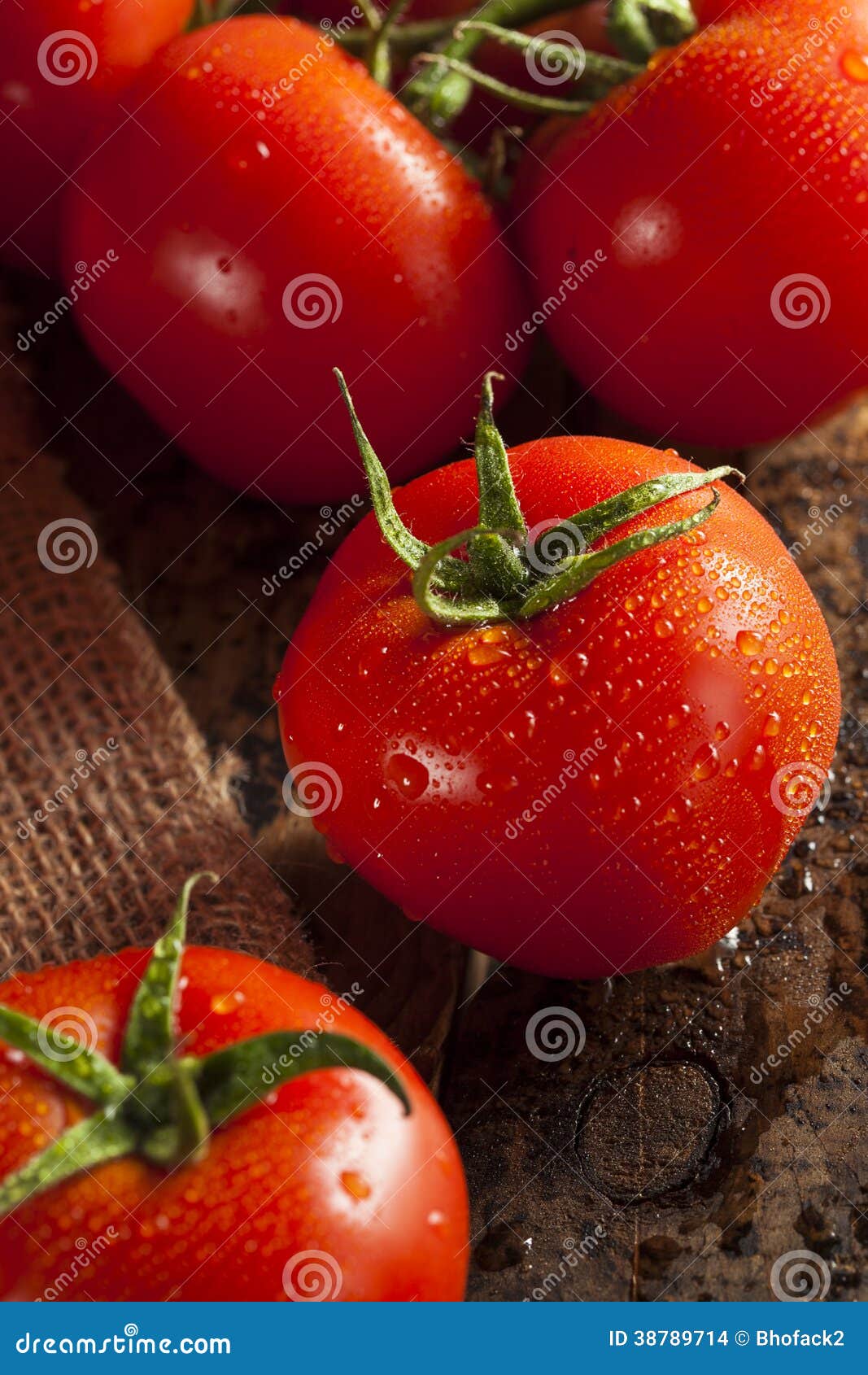 Organic Red Ripe Tomatoes stock photo. Image of plant - 38789714