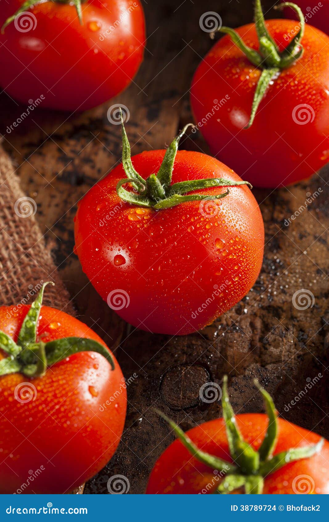 Organic Red Ripe Tomatoes stock photo. Image of freshness - 38789724