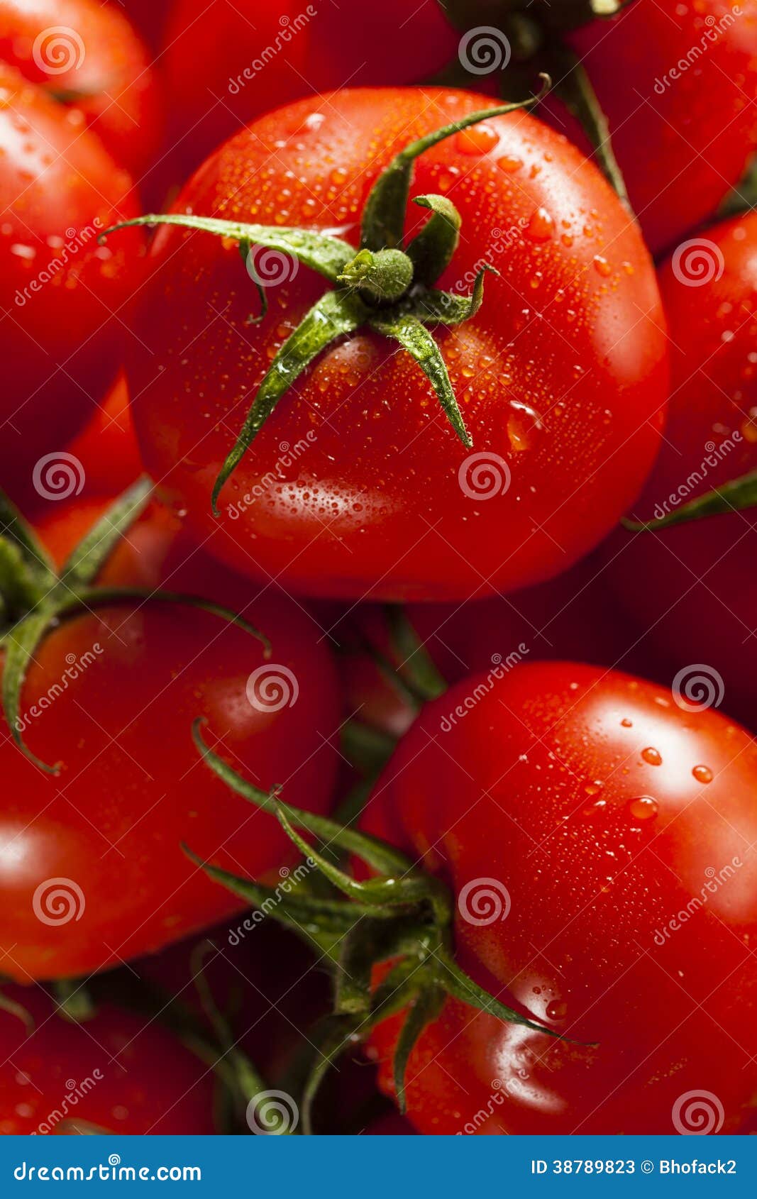 Organic Red Ripe Tomatoes stock image. Image of natural - 38789823