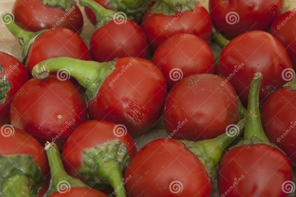 Organic Red Round Chilli Background Stock Photo - Image of organic ...