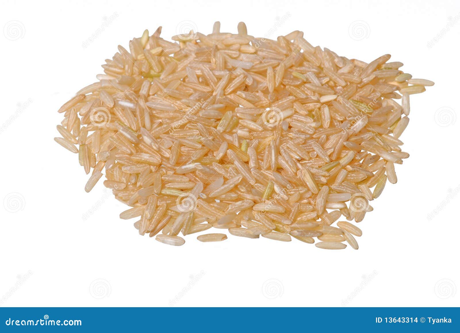 Organic Rice Paddy Farming As Sustainable Environment Development. Rice ...