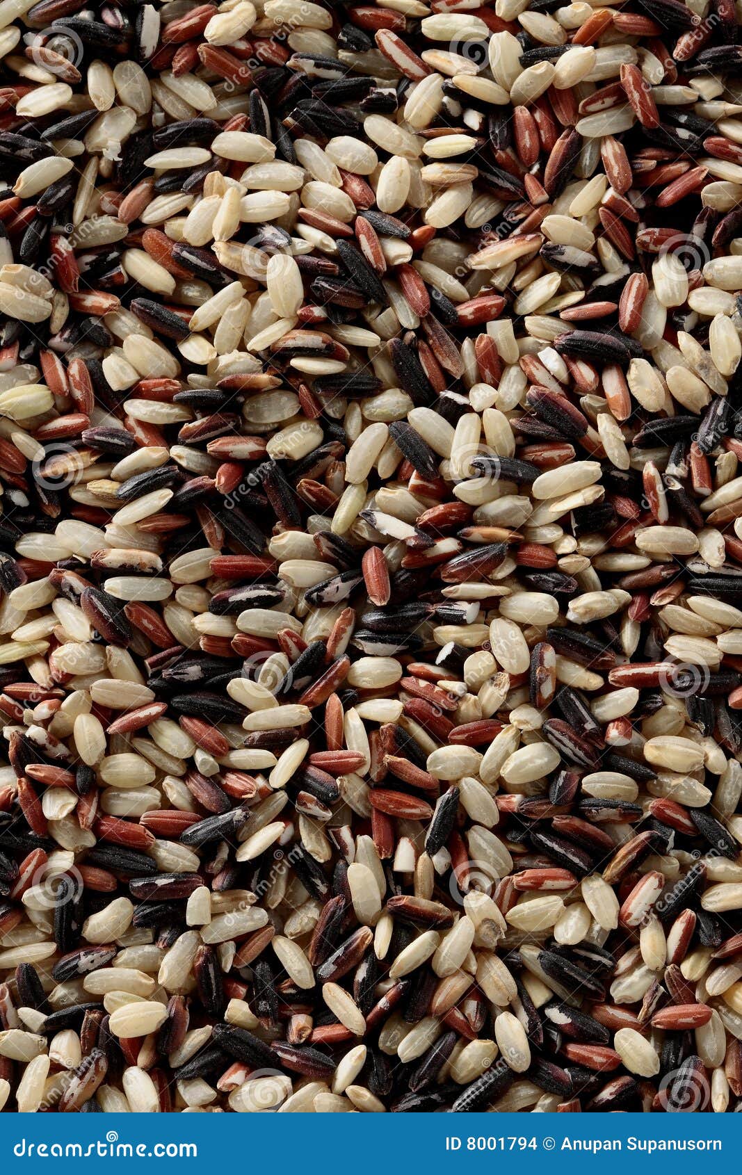 Organic Rice Grain Texture. Stock Photo - Image of rice, intact: 8001794