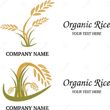 Organic rice logo stock vector. Illustration of grain - 79257634