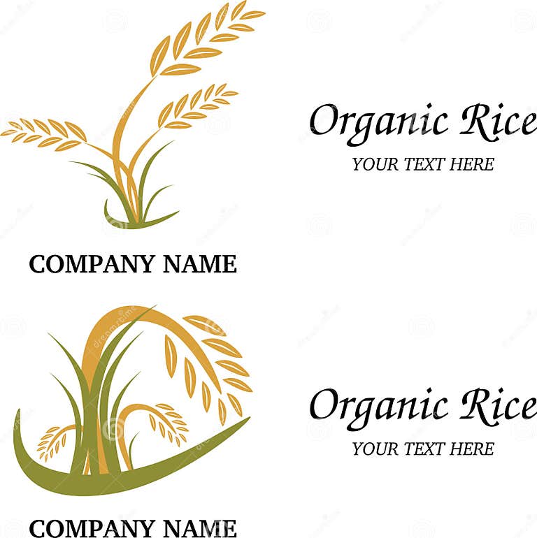 Organic rice logo stock vector. Illustration of grain - 79257634