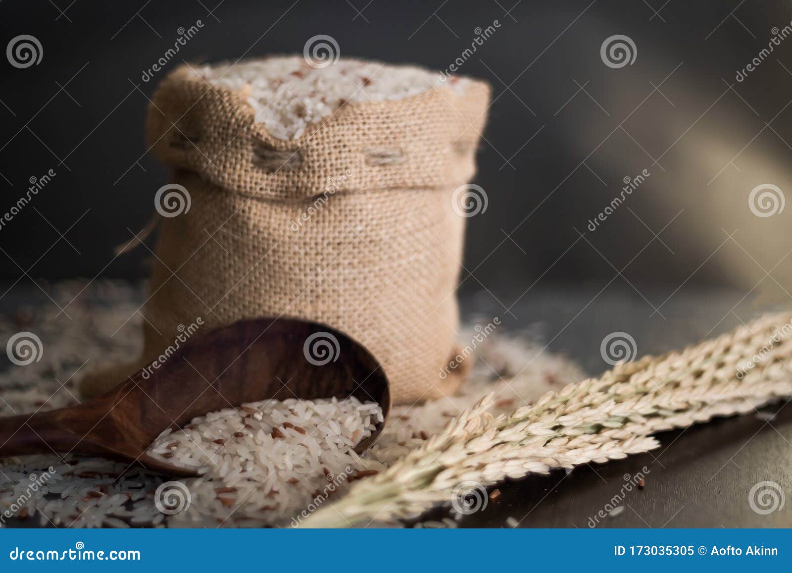 Organic rice on a sack stock image. Image of brown, vegetarian - 173035305