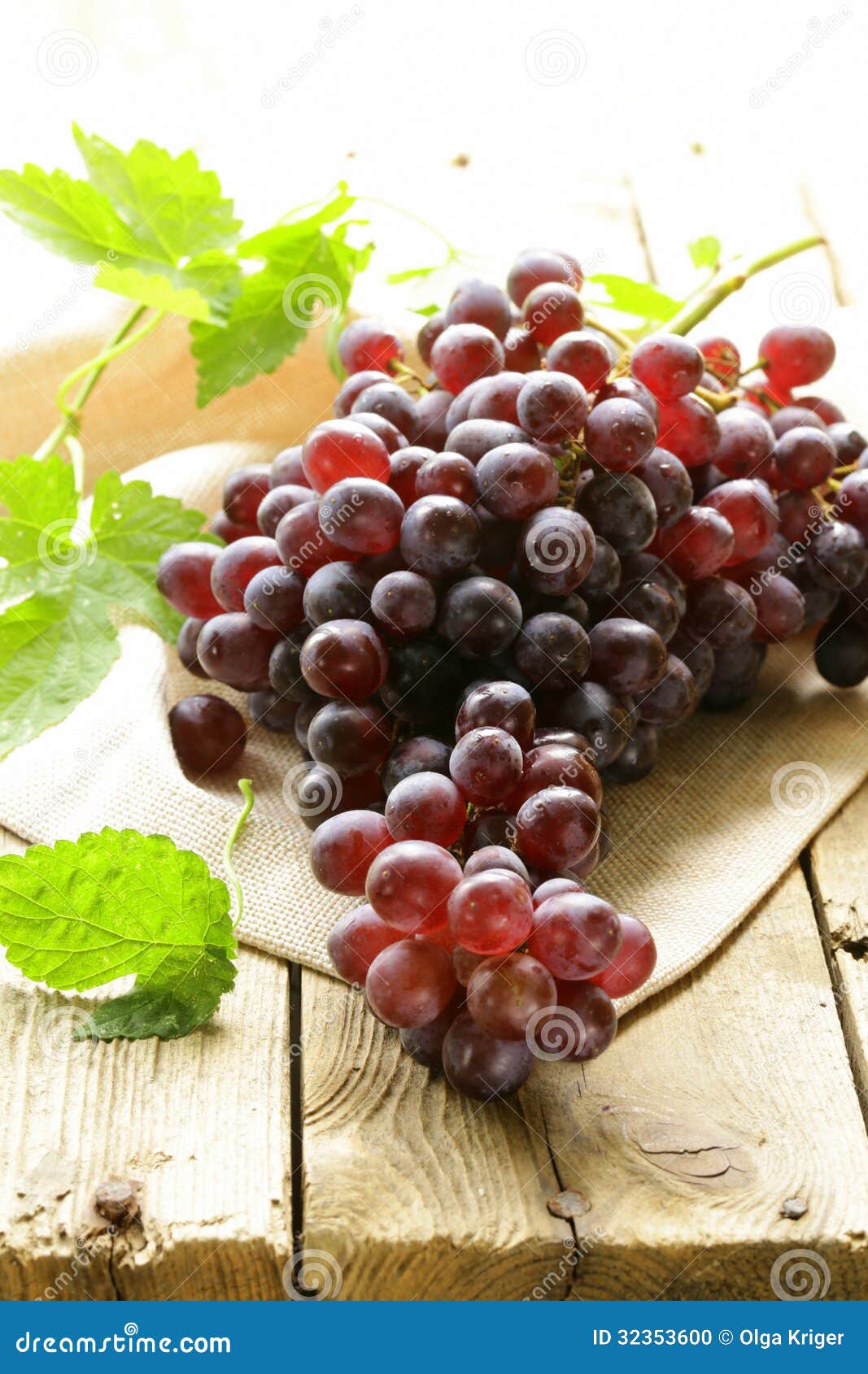 Organic ripe black grapes stock photo. Image of green - 32353600