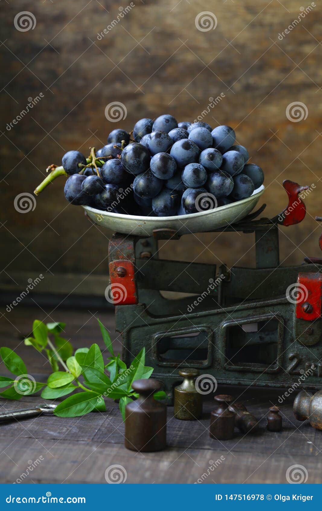 Organic ripe grapes stock photo. Image of table, fruit - 147516978