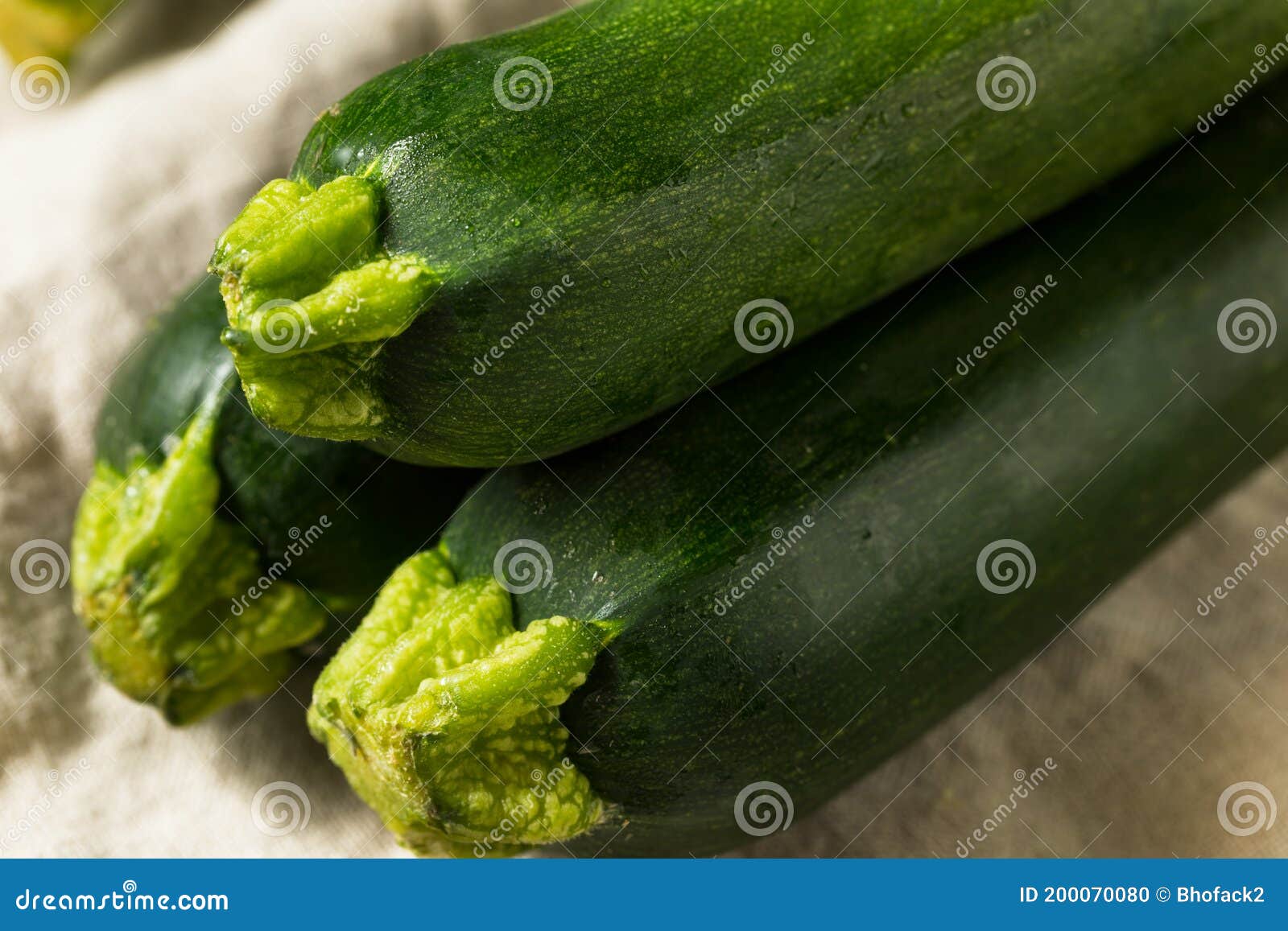 Organic Ripe Green Zucchini Squash Stock Photo - Image of diet ...