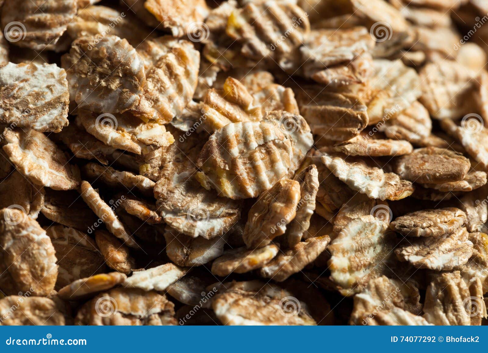 Organic Rolled Rye Flakes stock photo. Image of nature - 74077292