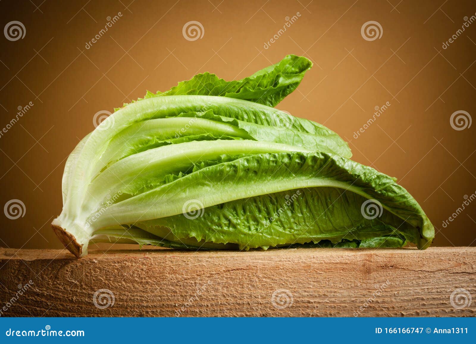 Organic romain lettuce stock image. Image of green, leaf - 166166747