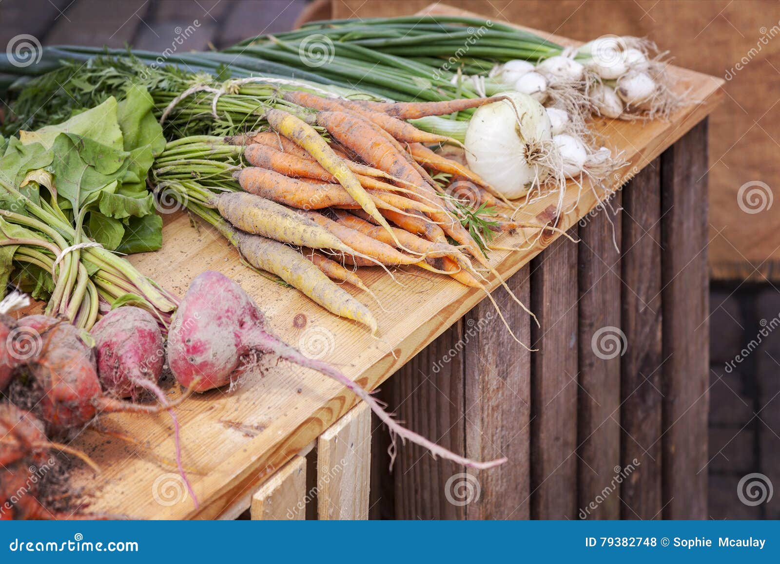 Organic root vegetables stock photo. Image of background - 79382748