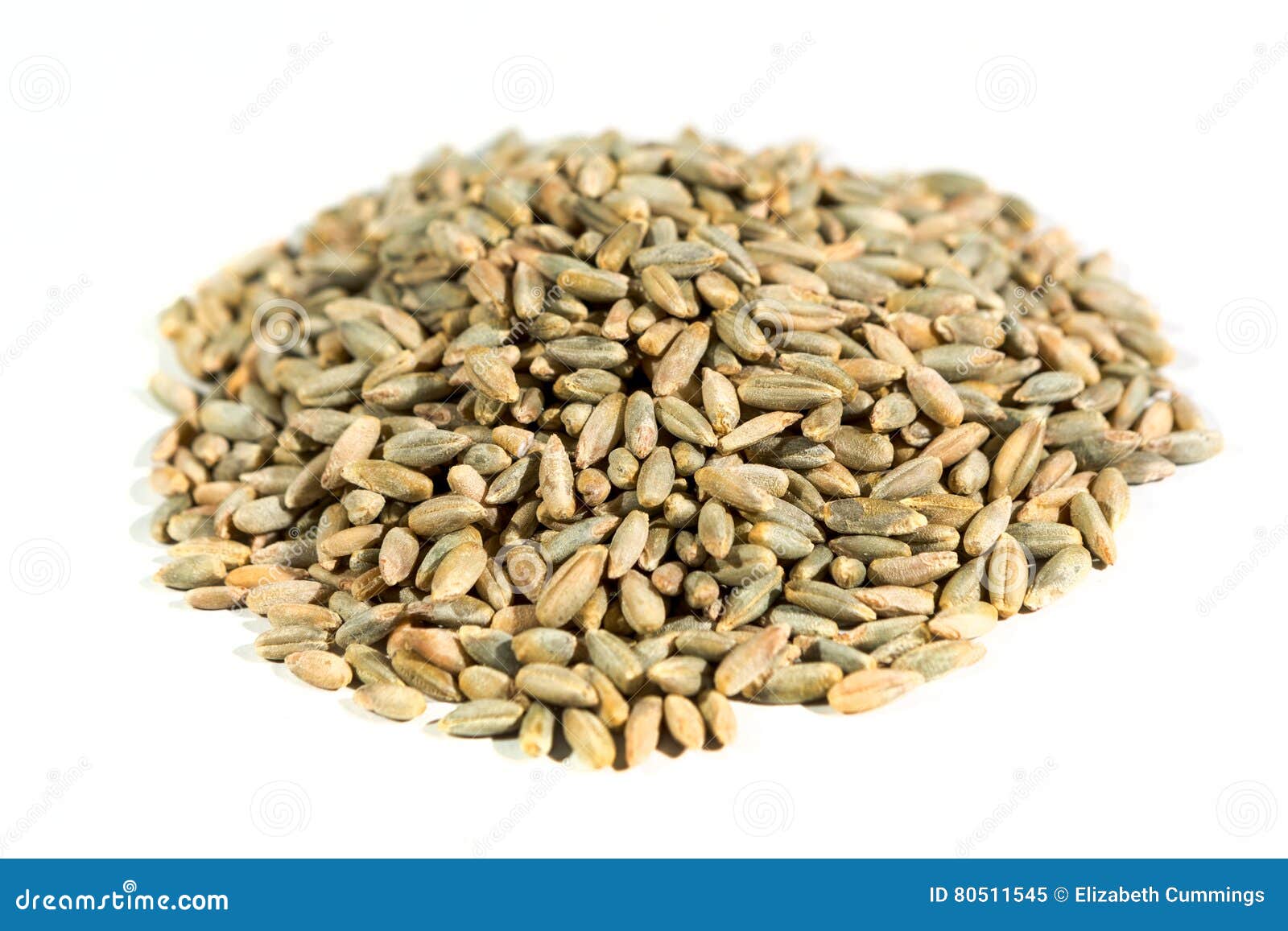 Organic rye grains stock image. Image of ingredients - 80511545