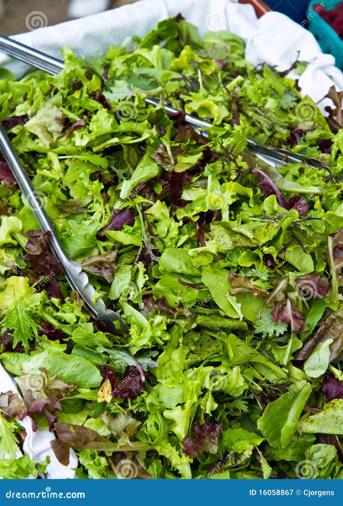 Organic Salad Mix stock image. Image of healthy, freshness - 16058867