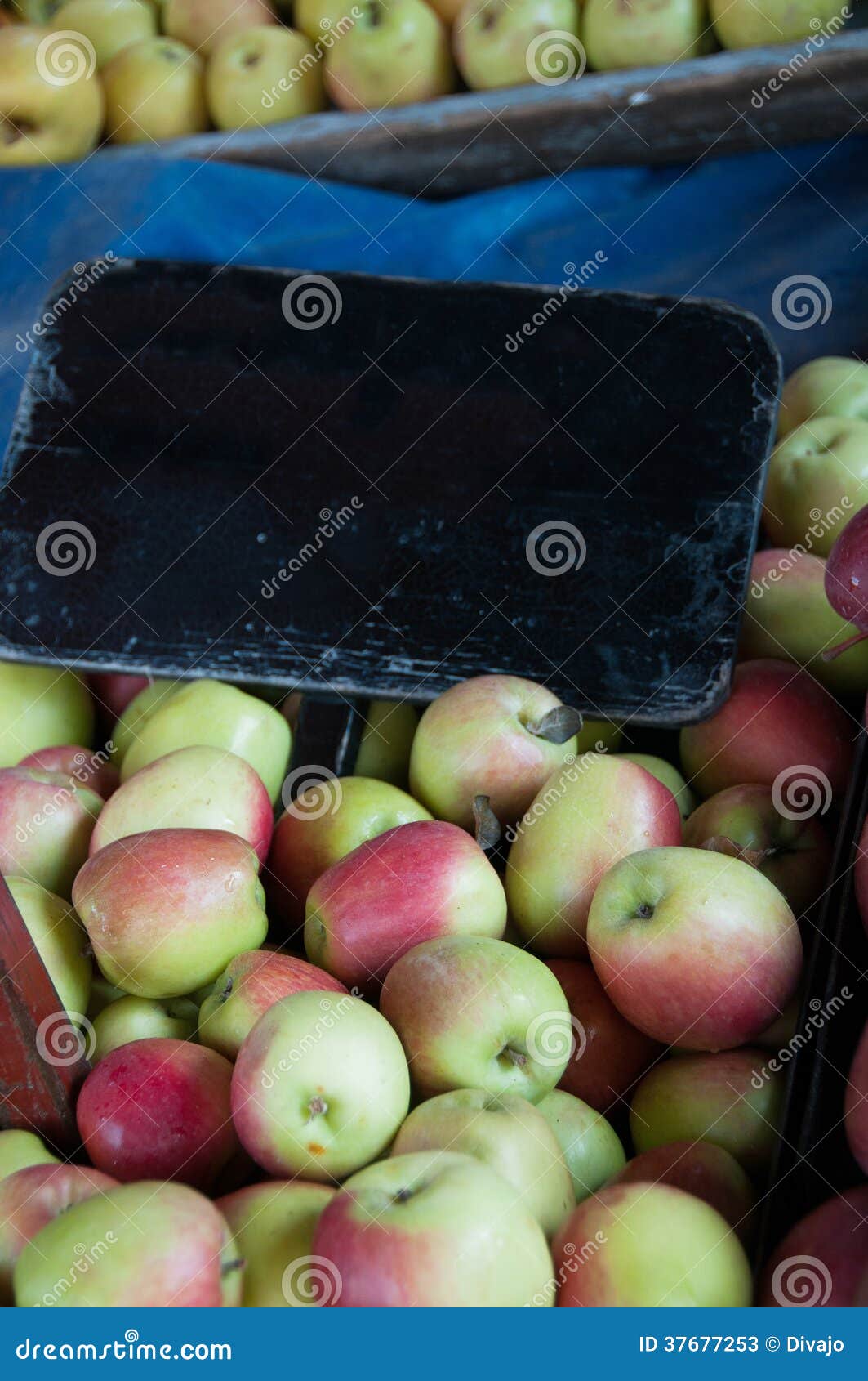 Organic Selection of Apples Stock Image - Image of fresh, apple: 37677253