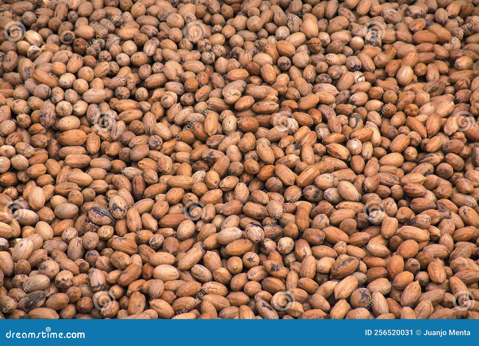 Organic Shelled Walnut Texture Background from Mexico Stock Image ...