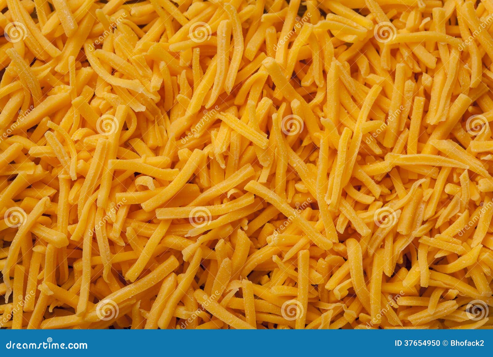 Organic Shredded Sharp Cheddar Cheese Stock Photo - Image of colby ...