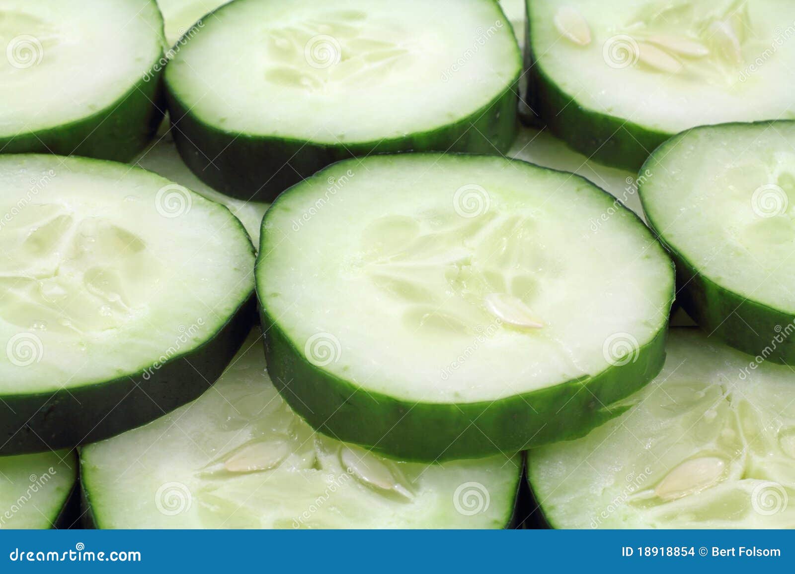Organic sliced cucumbers stock photo. Image of small - 18918854