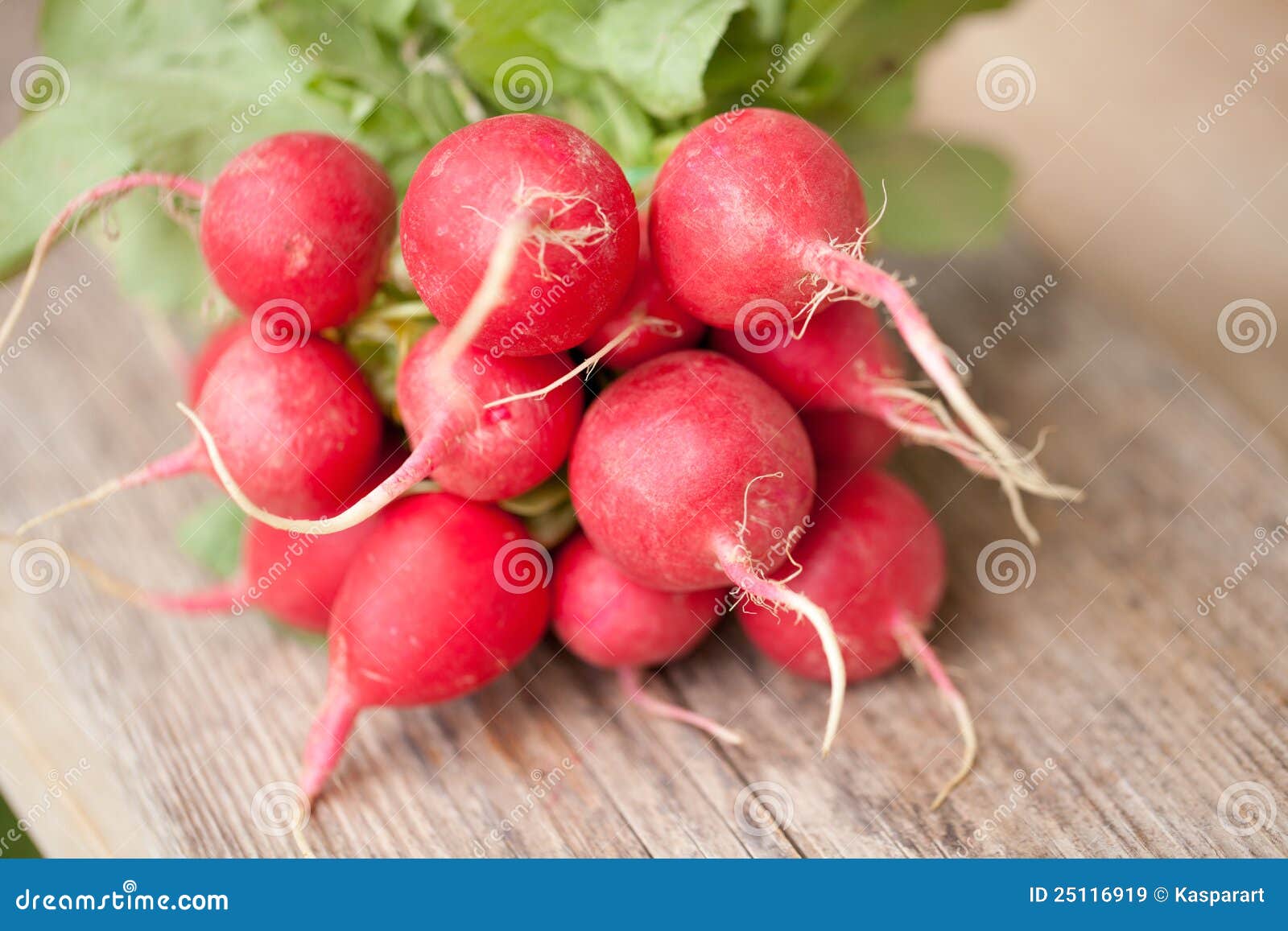 Organic small red radishes stock image. Image of depth - 25116919