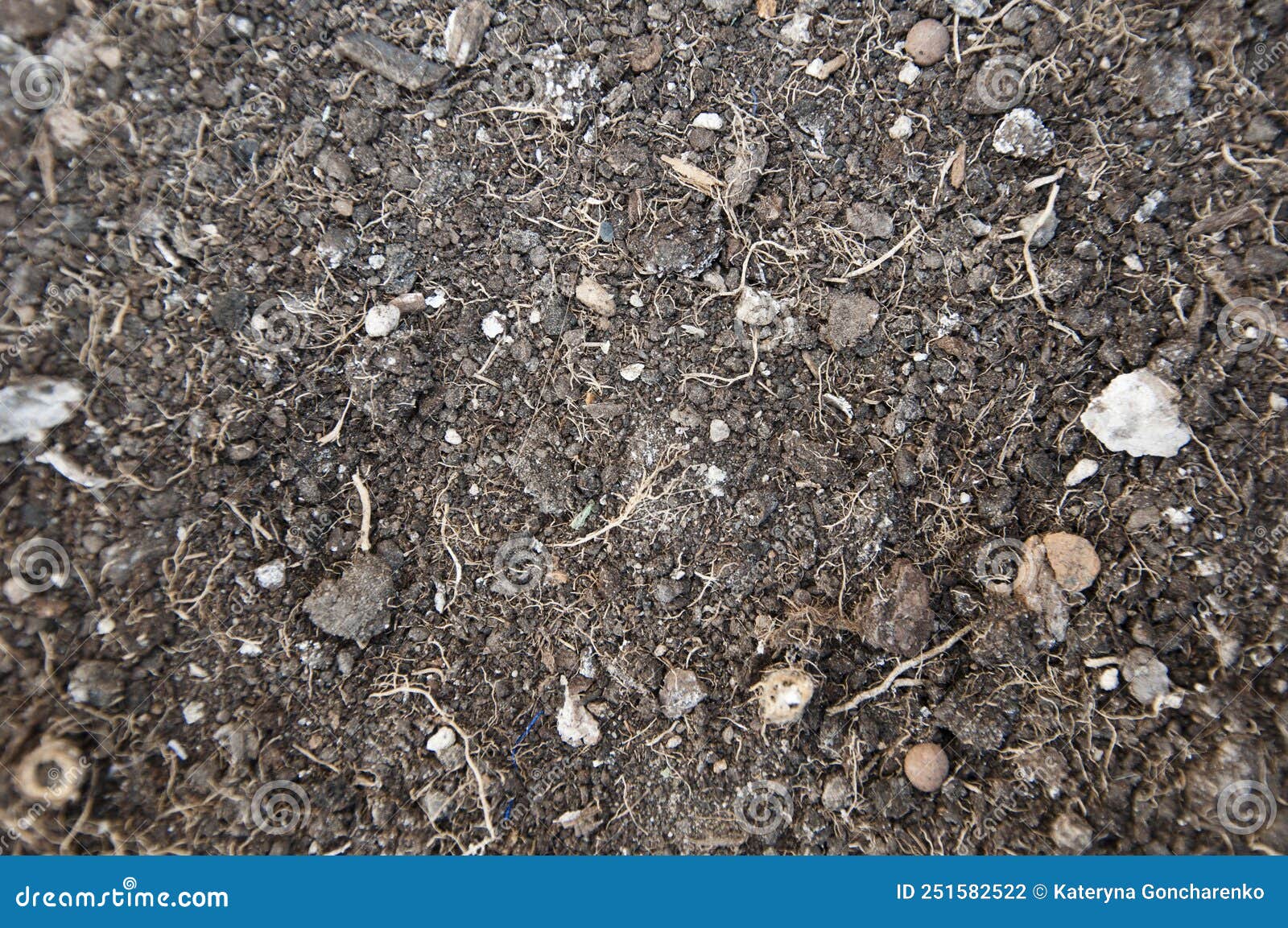 Organic Soil or Dirt Ground Surface Texture Mud Background Stock Photo ...