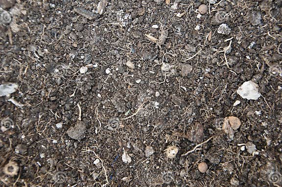 Organic Soil or Dirt Ground Surface Texture Mud Background Stock Photo ...