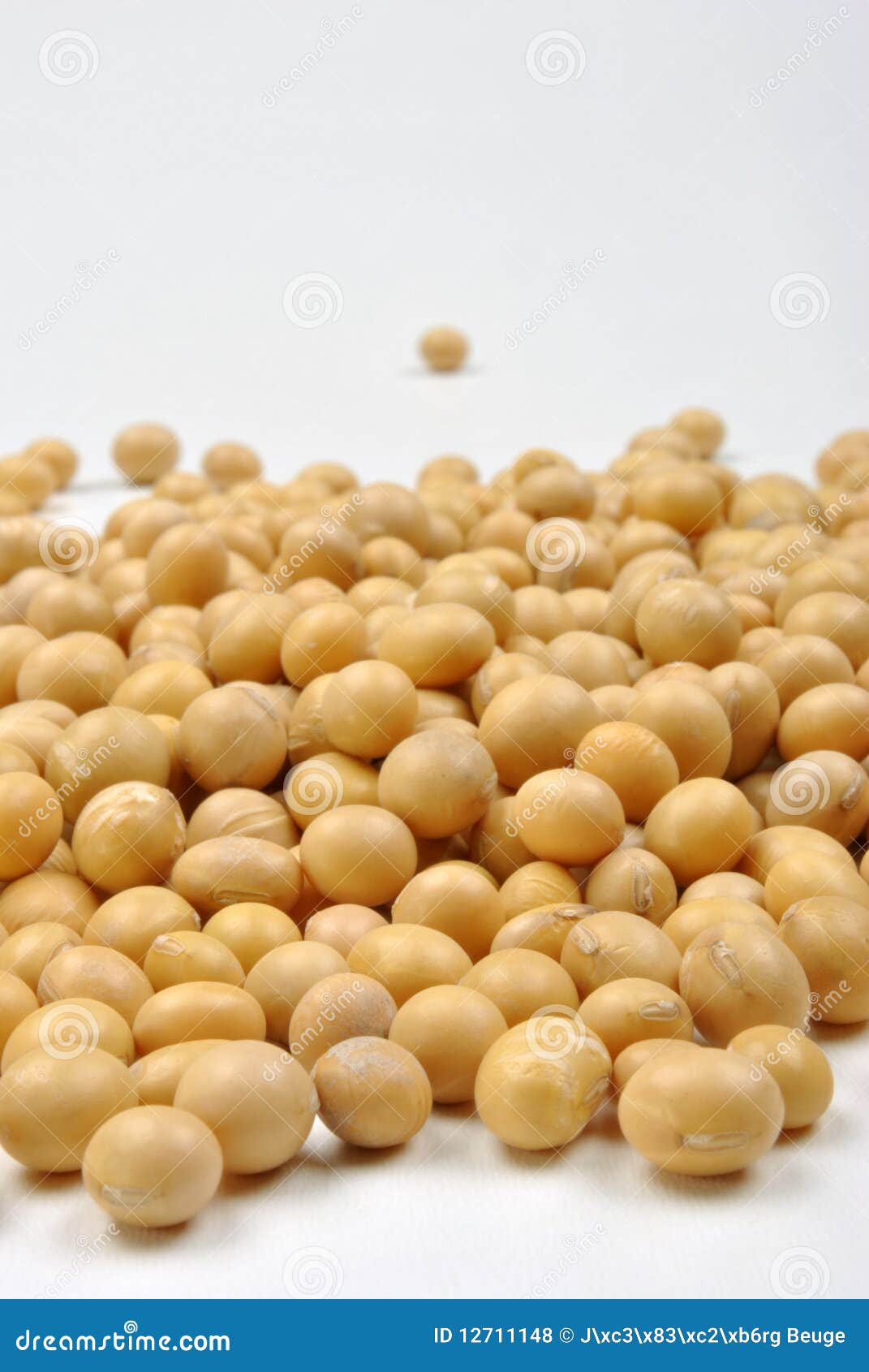 Organic soya beans stock photo. Image of taste, ready - 12711148
