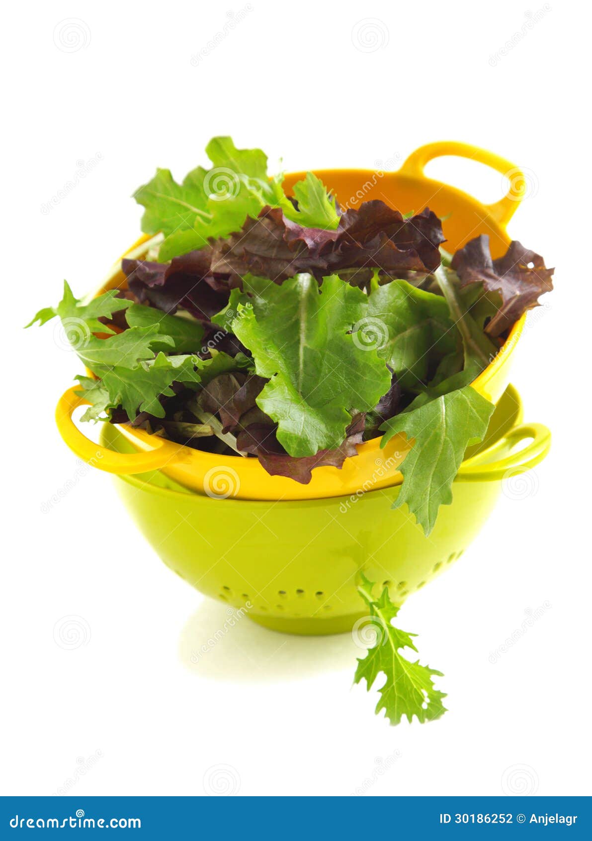 Organic Spring Mix Green Leaves for Salad Stock Photo - Image of ...