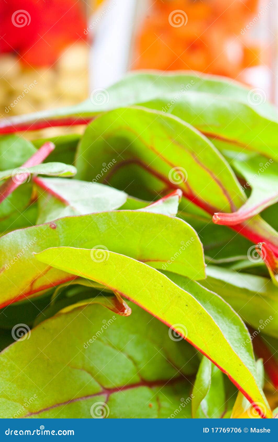 Organic Spring Mix Lettuce stock photo. Image of dinner - 17769706