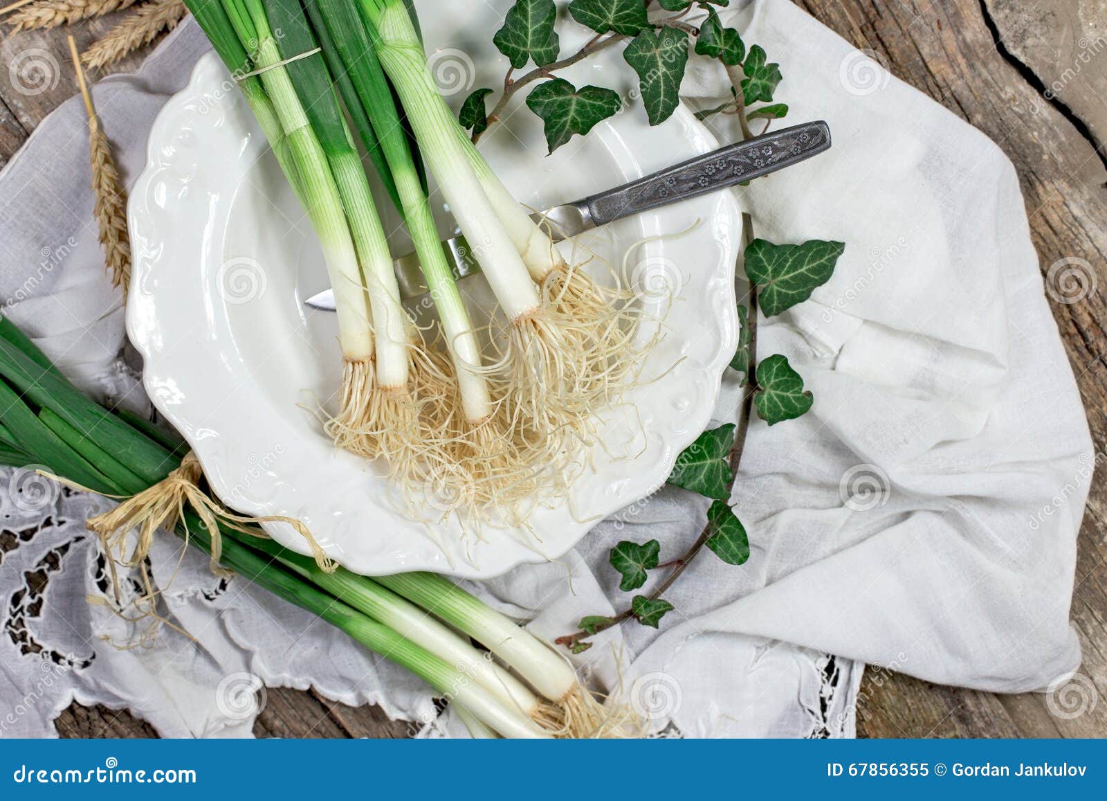 Organic Spring Onions on Plate Stock Image - Image of leeks, season ...
