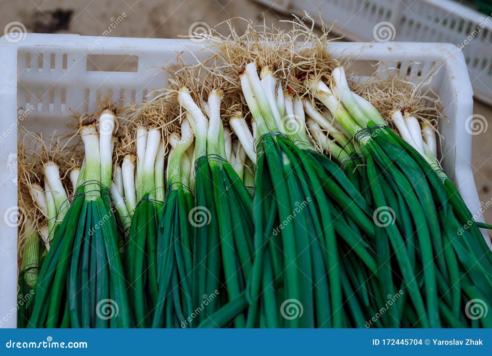 Organic Spring Onions in a White Box. Stock Photo - Image of onion ...