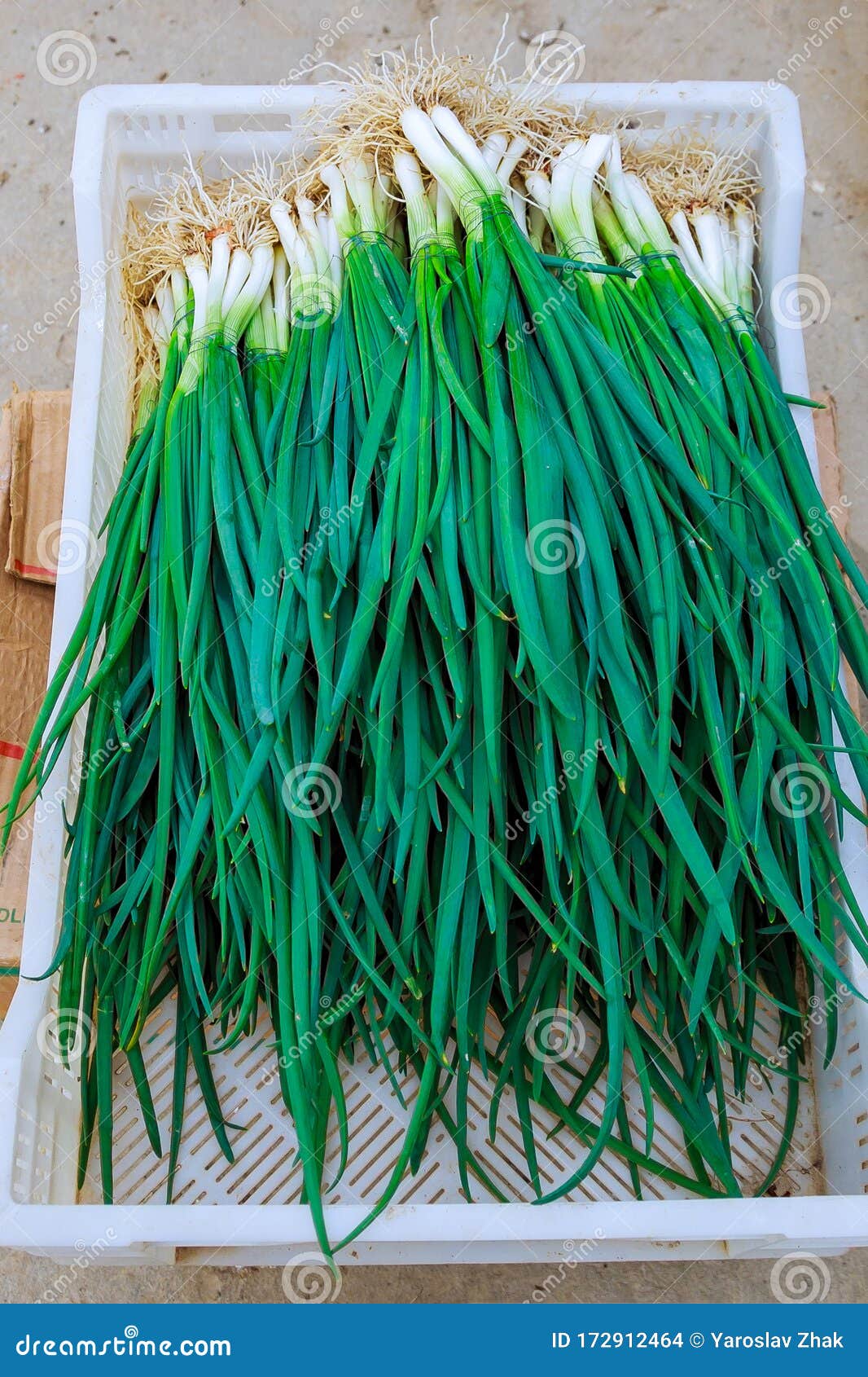 Organic Spring Onions in a White Box. Stock Photo - Image of vegan ...