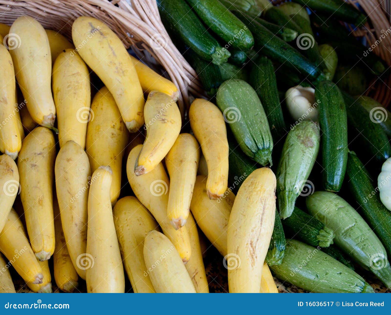 Organic squash stock image. Image of harvest, agriculture - 16036517