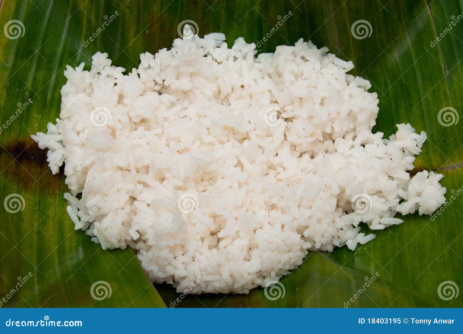 Organic Steamed Rice stock image. Image of meal, steamed - 18403195