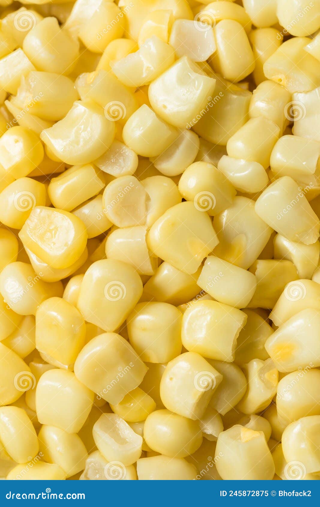 Organic Steamed White Sweetcorn Kernals Stock Image - Image of maize ...