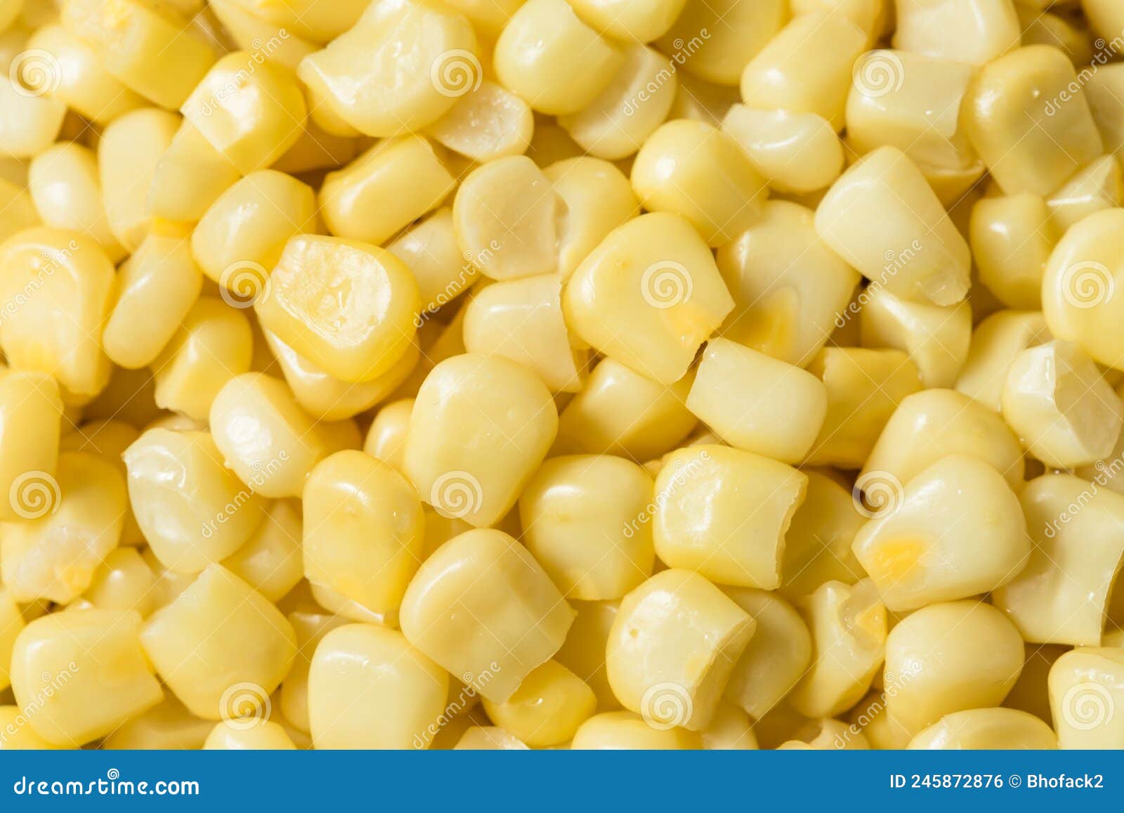 Organic Steamed White Sweetcorn Kernals Stock Photo - Image of ...