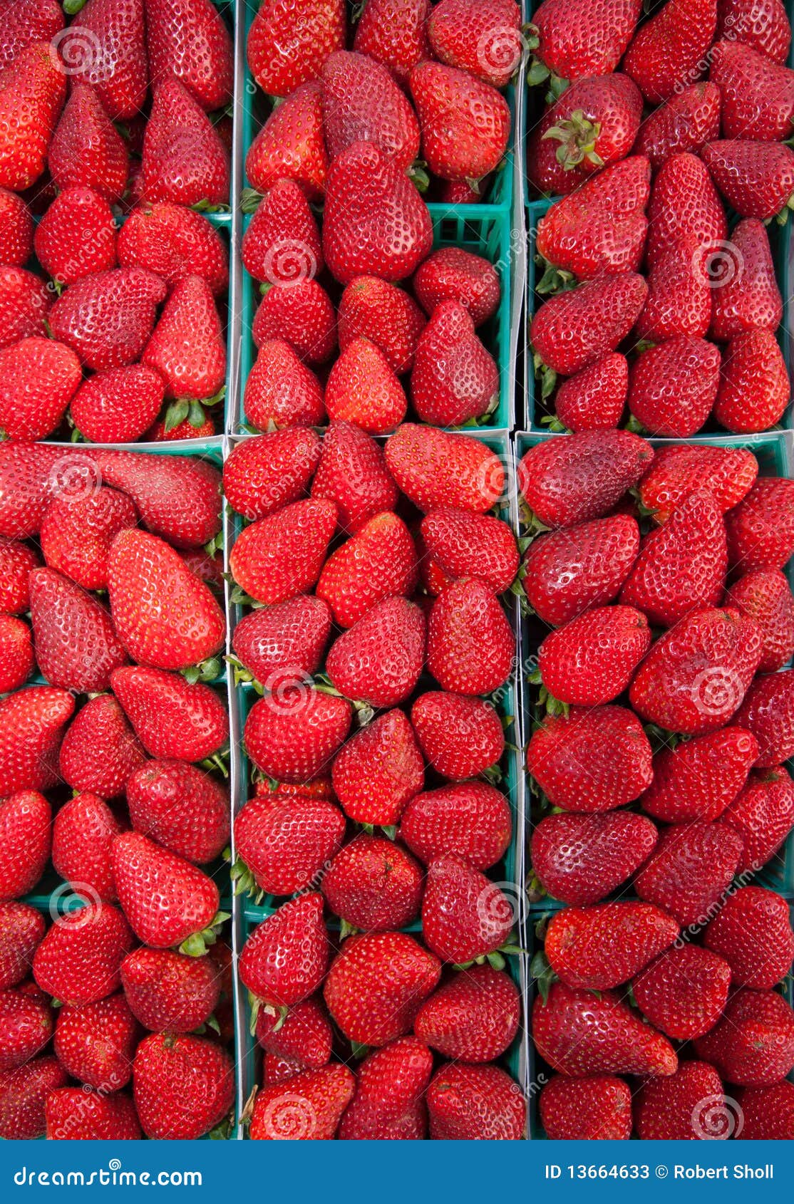 Organic Strawberries stock image. Image of strawberries - 13664633