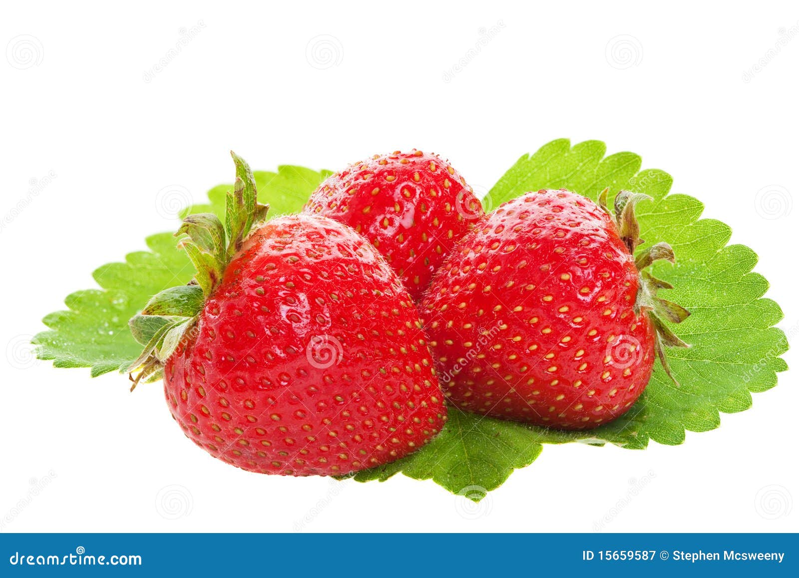 Organic strawberries stock image. Image of seeds, organic - 15659587