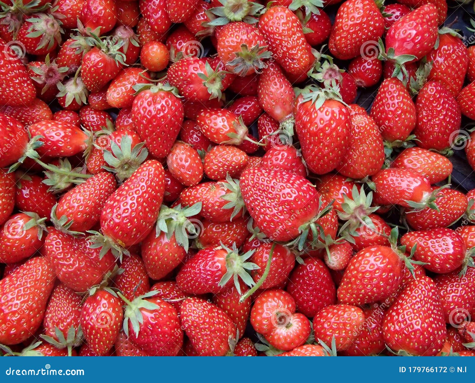 Organic Delicious Red Strawberries Background Stock Photo - Image of ...