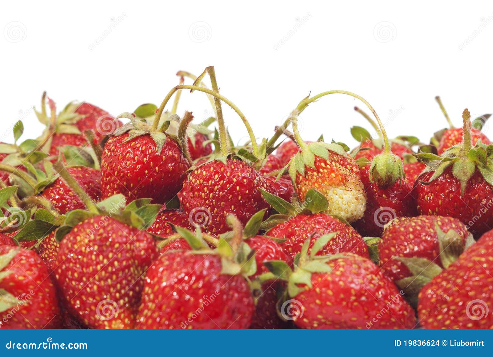 Organic strawberry stock photo. Image of berry, strawberry - 19836624