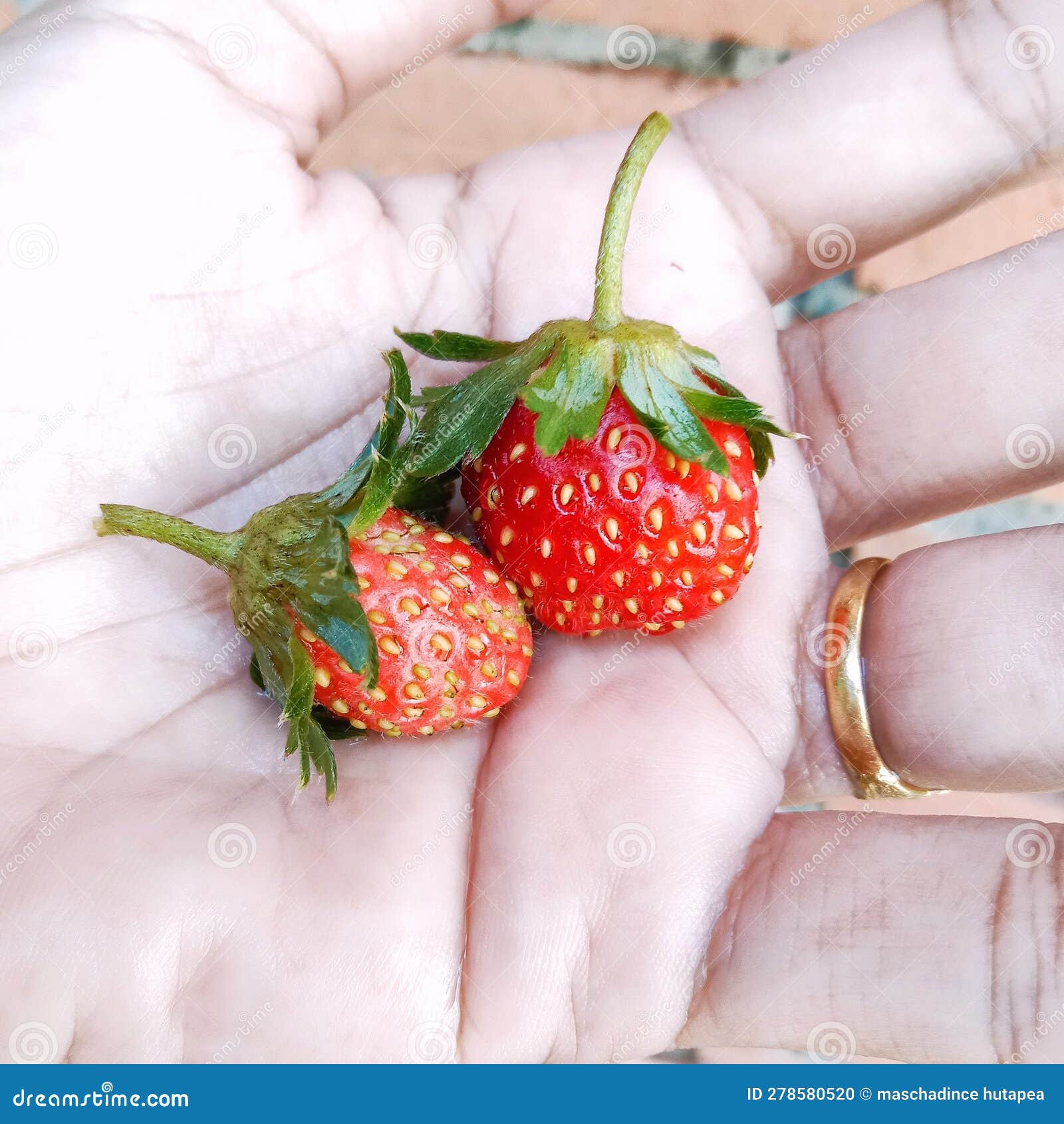 Tumb Size Stock Photos - Free & Royalty-Free Stock Photos from Dreamstime