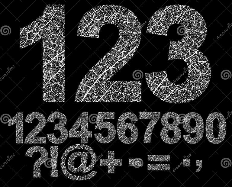 Organic style numbers stock vector. Illustration of collection - 27129972