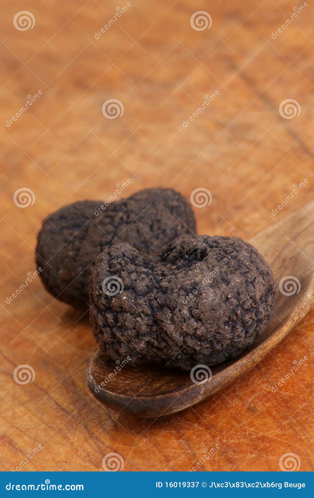 Organic Summer Truffle on a Timber Spoon Stock Image - Image of truffle ...