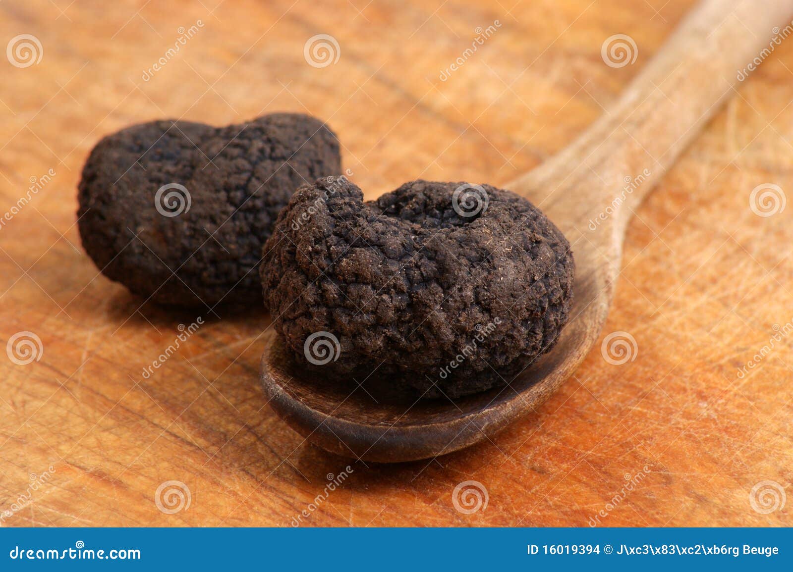 Organic Summer Truffle on a Timber Spoon Stock Photo - Image of food ...