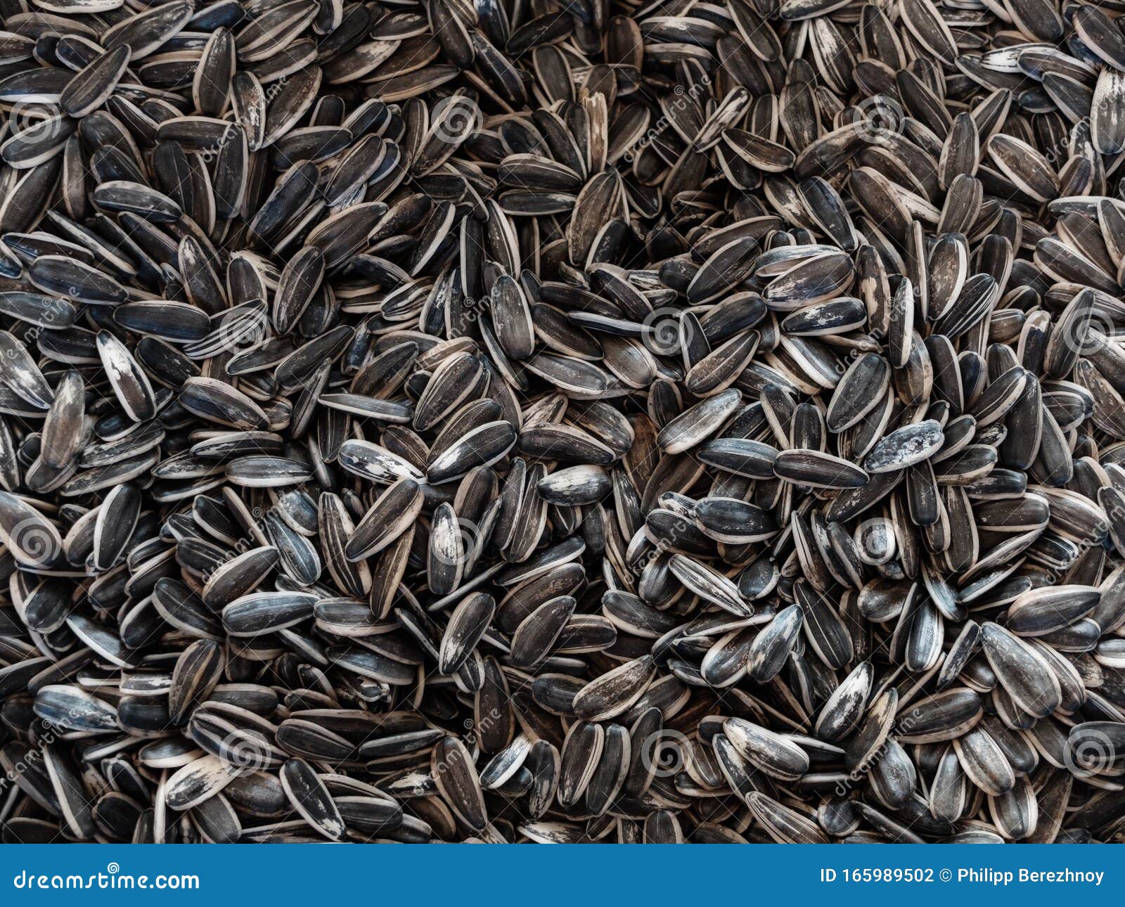Organic Sunflower Seed. Texture or Background Concept Stock Photo ...
